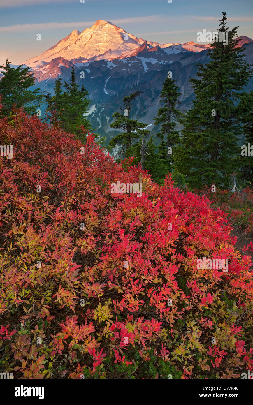 Mount Baker-Snoqualmie National Forest, WA: Autumnal sunrise behind ...