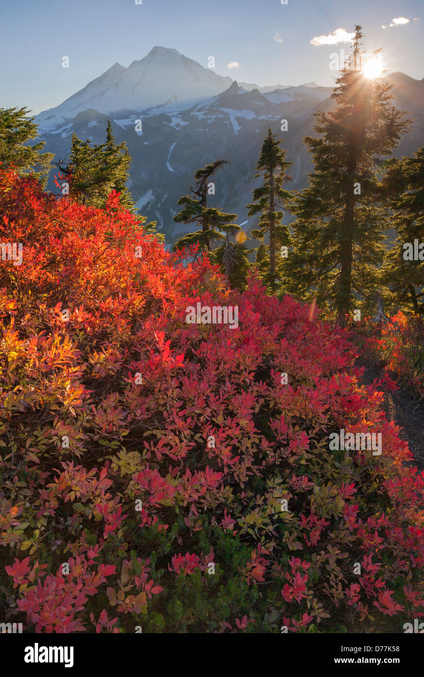 Mount Baker-Snoqualmie National Forest, WA: Autumnal sunset behind ...