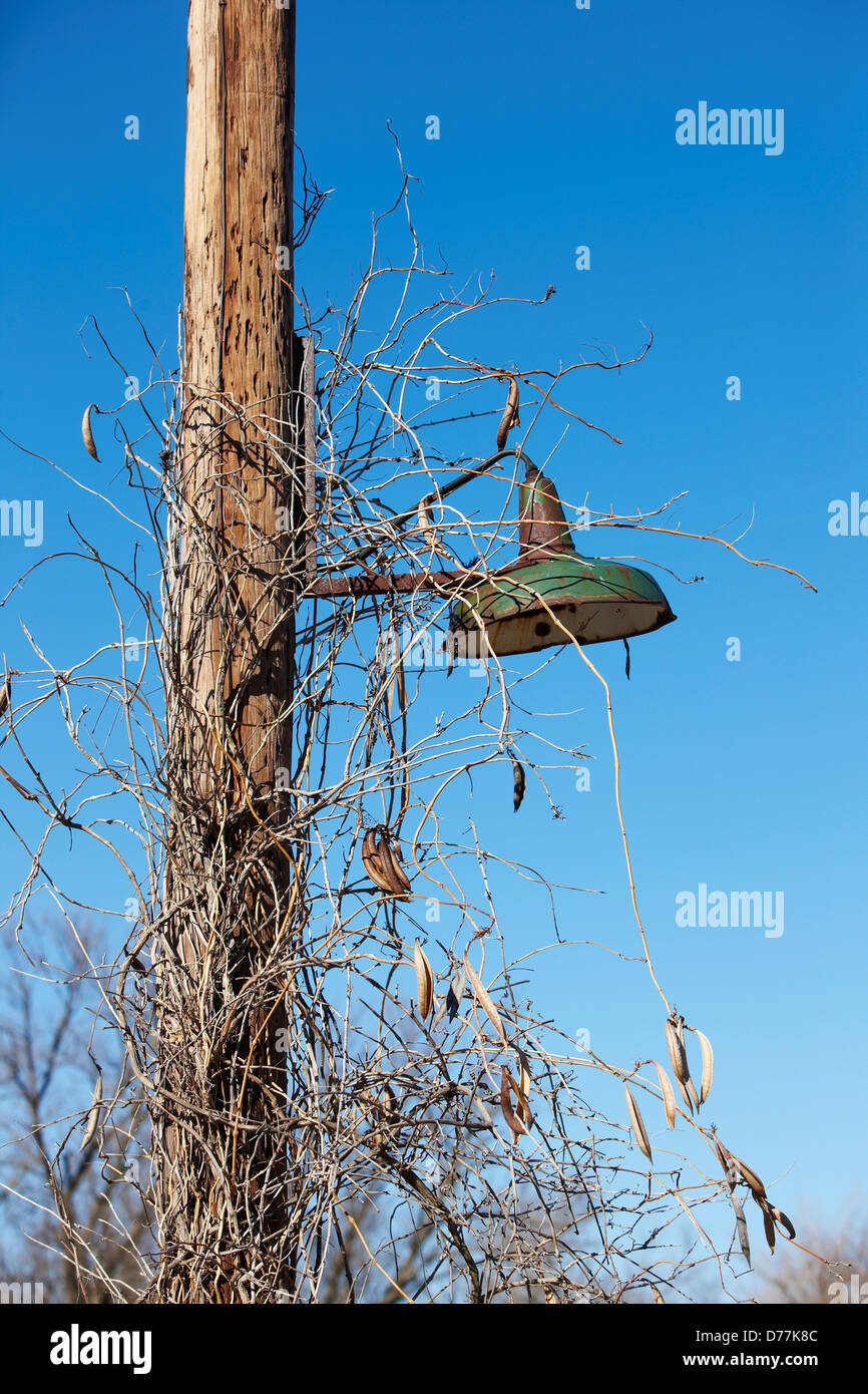 Overgrown streetlight hi-res stock photography and images - Alamy