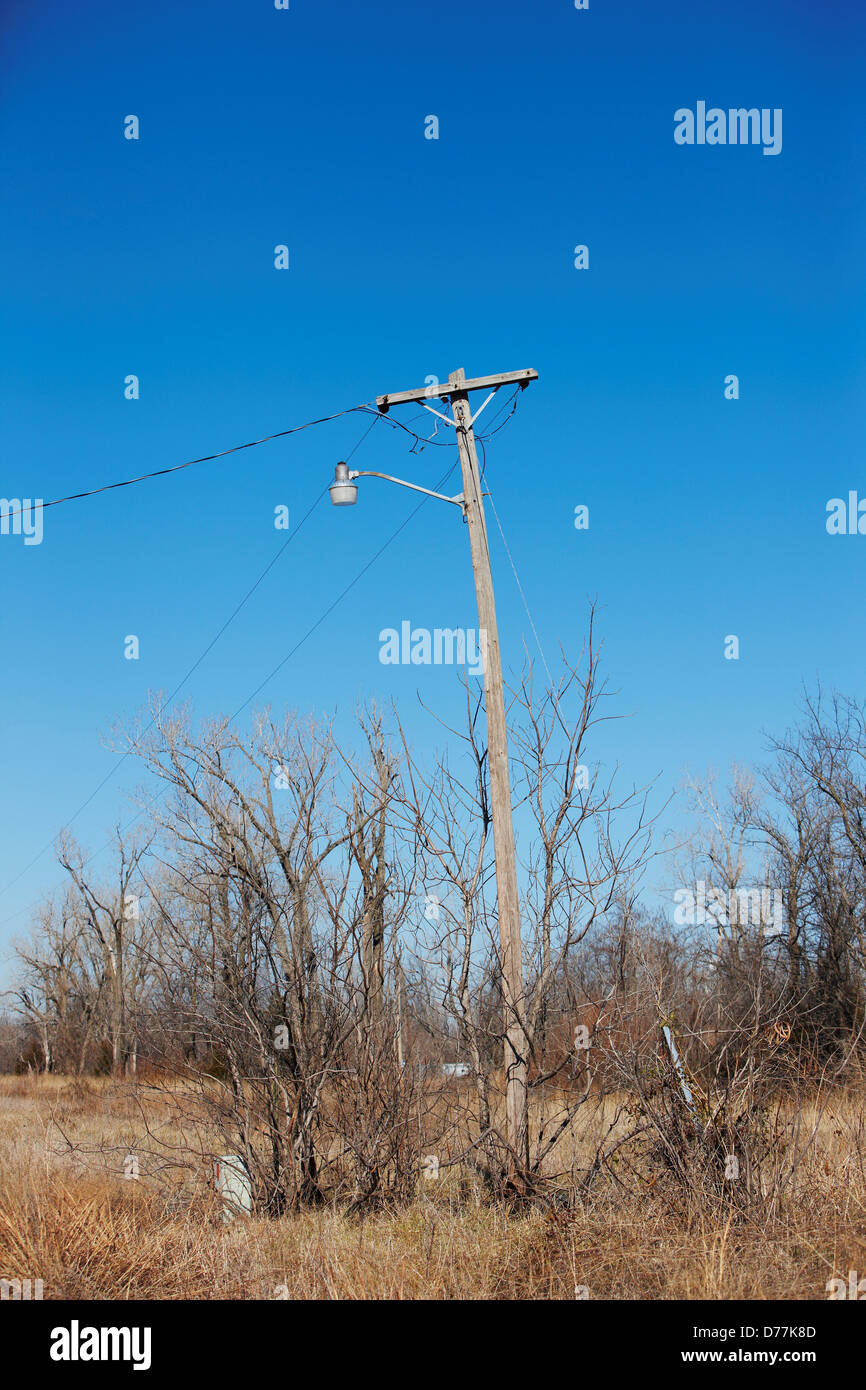 Overgrown streetlight hi-res stock photography and images - Alamy