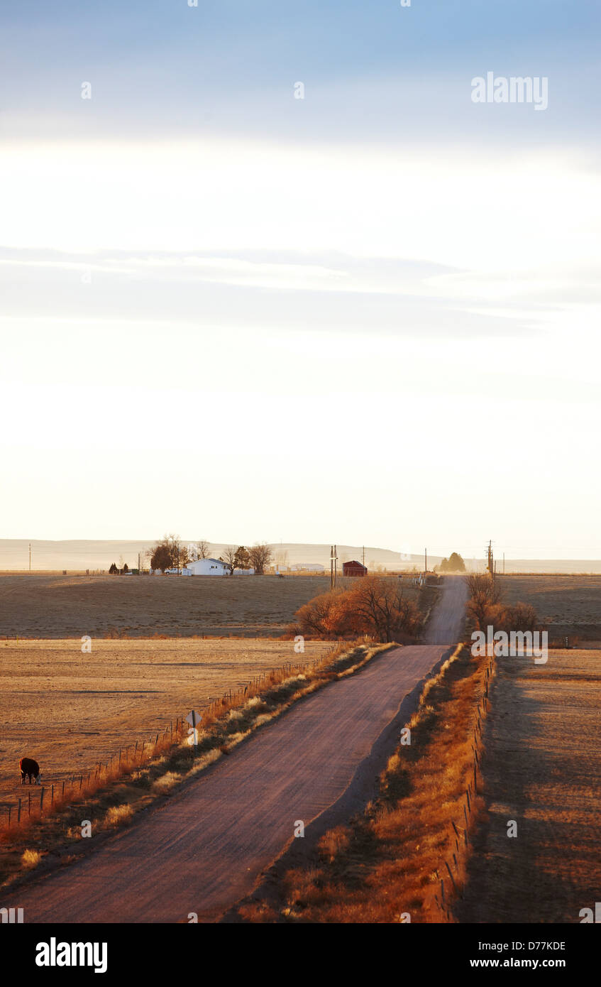 USA Colorado Lonely country dirt road sinking into distance Stock Photo ...