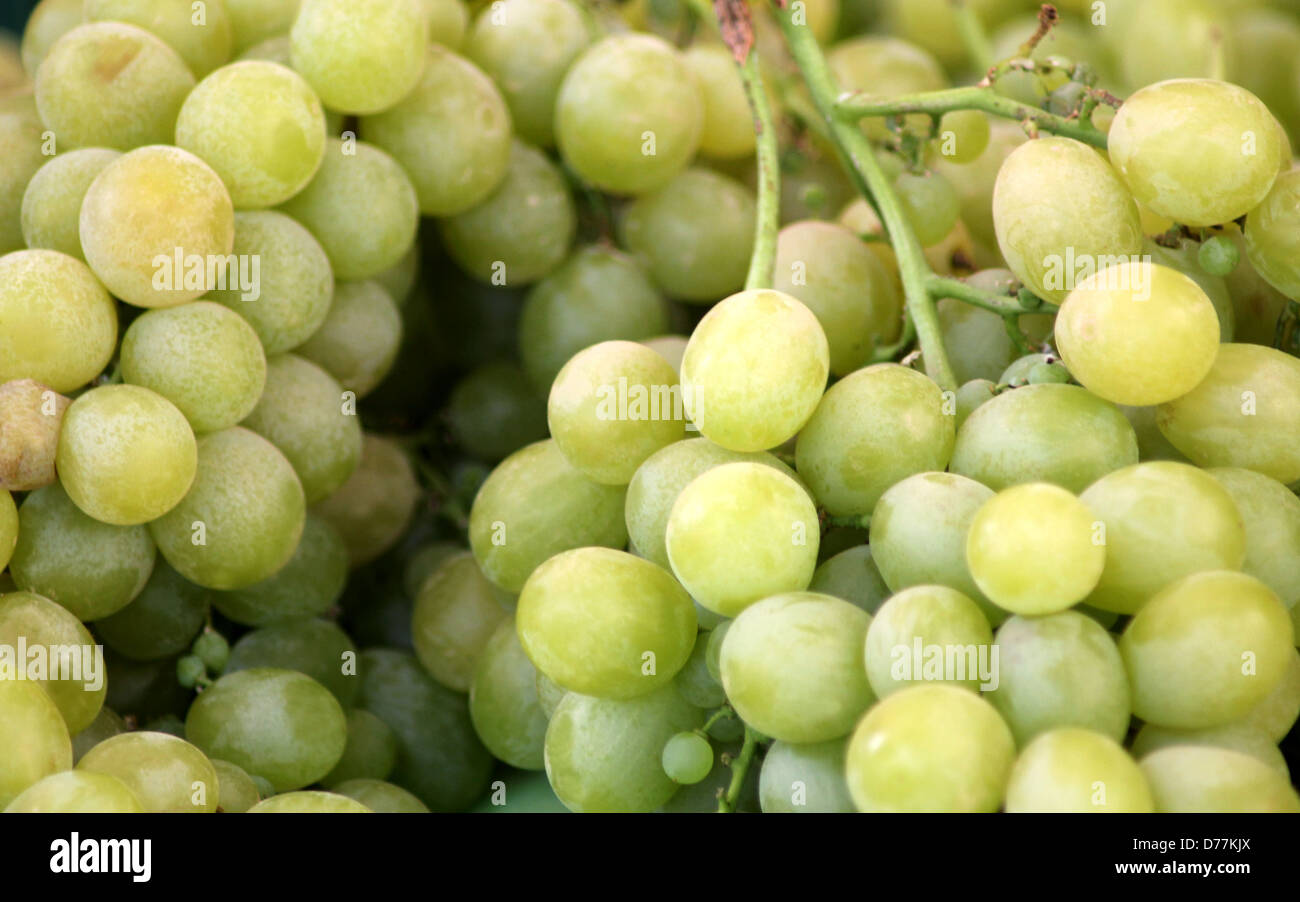 Background of bunches of ripe green grapes Stock Photo - Alamy