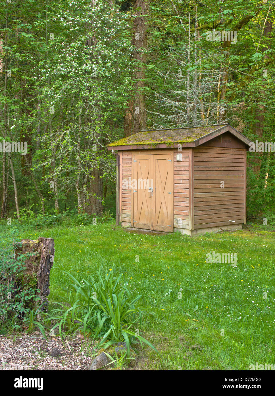 Storage shade in a state park forest Stock Photo - Alamy
