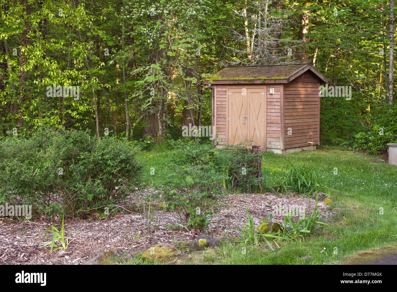 Storage shade in a state park forest Stock Photo - Alamy