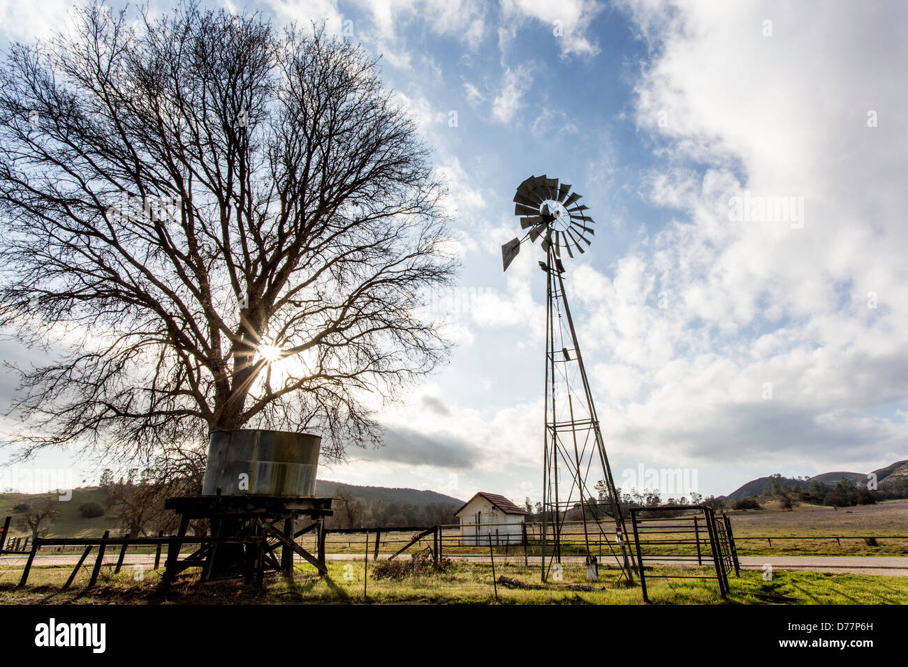Windmill and tree at shell creek road Stock Photo - Alamy