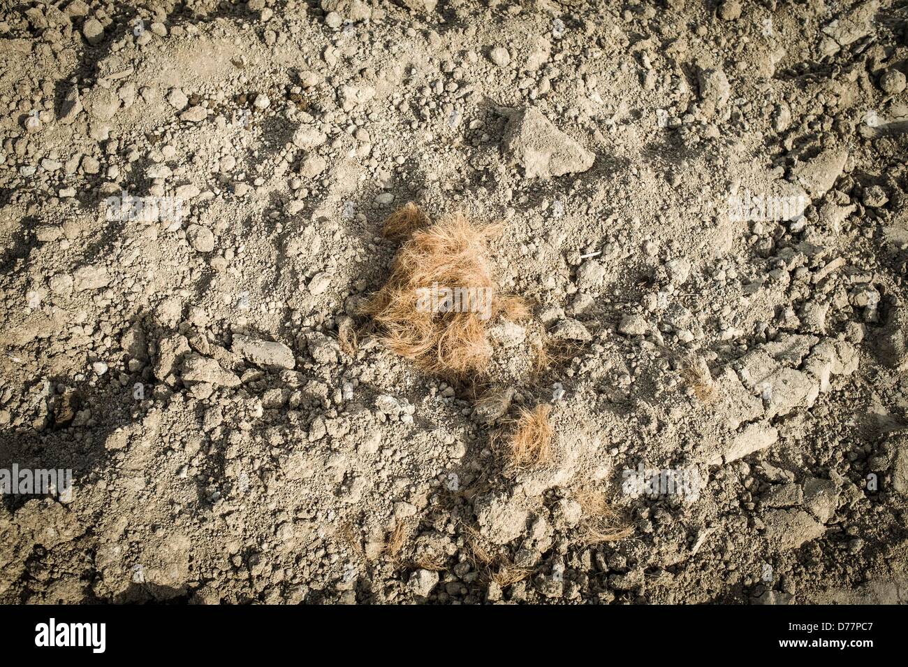 April 30, 2013 - Sotin, Slavonija, Croatia - Mass grave found in the ...
