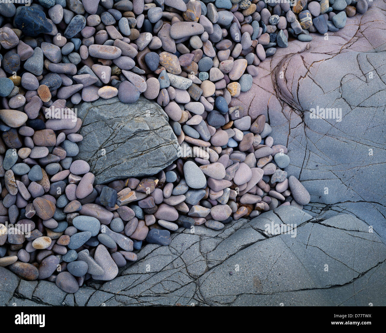 Pebble pattern on rocky shore small island in Lynn Canal north Point ...