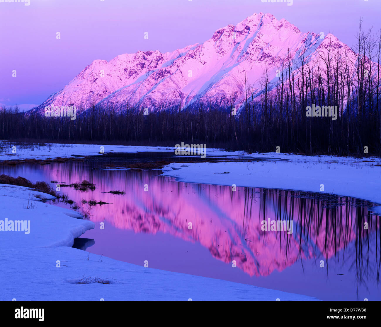 Pioneer Peak illuminated by alpenglow reflected in Rabbit Slough during ...