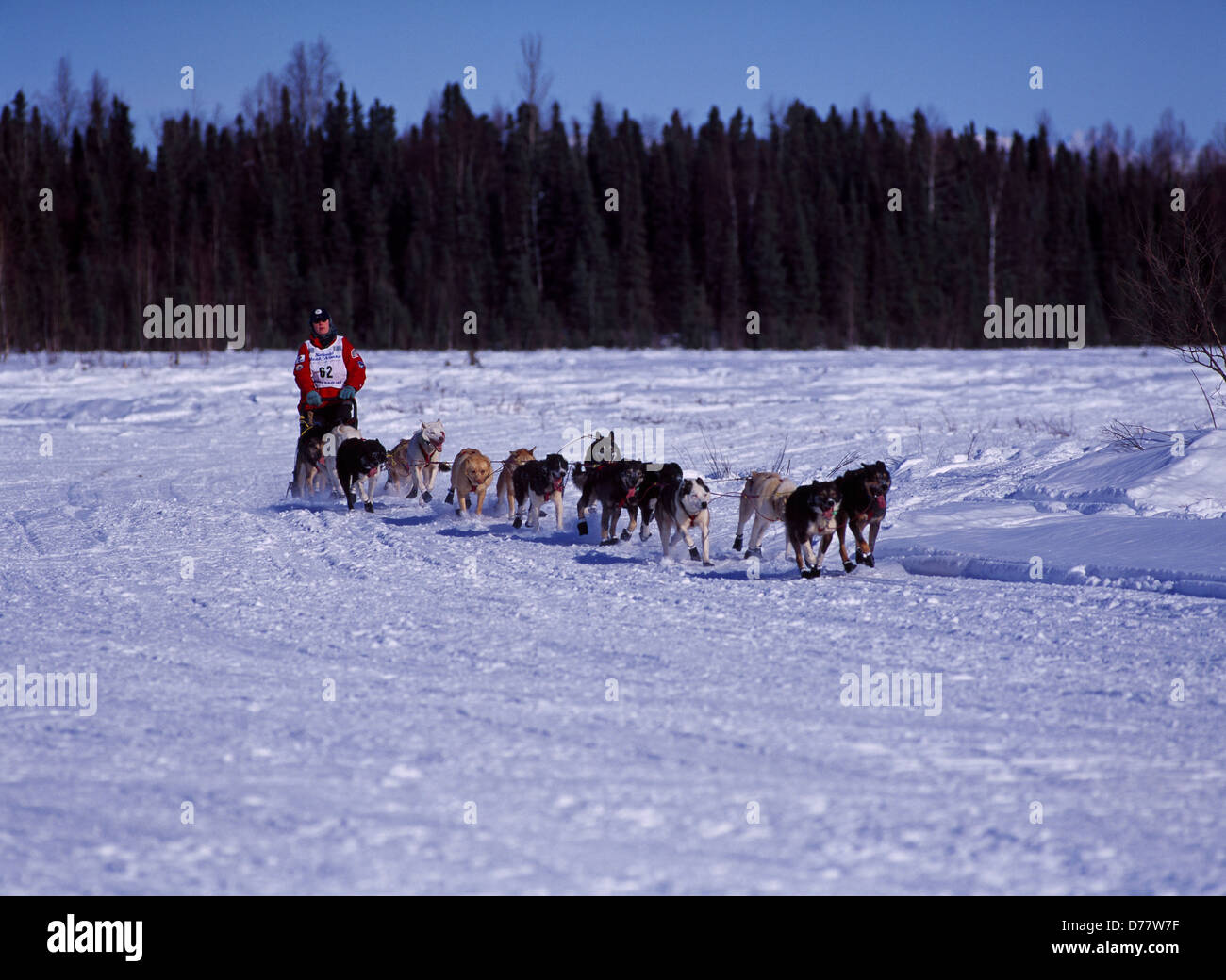 Zirlke hi-res stock photography and images - Alamy