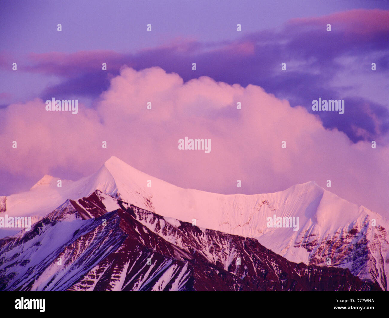 Pink light sunset illuminating fresh snow on Alaska Range in vicinity ...