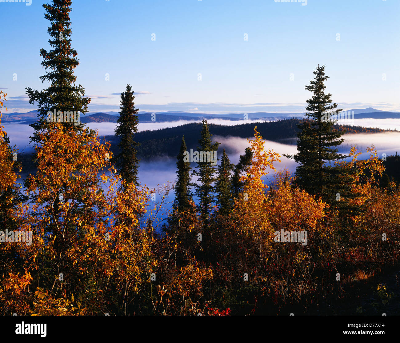 Polly creek hi-res stock photography and images - Alamy