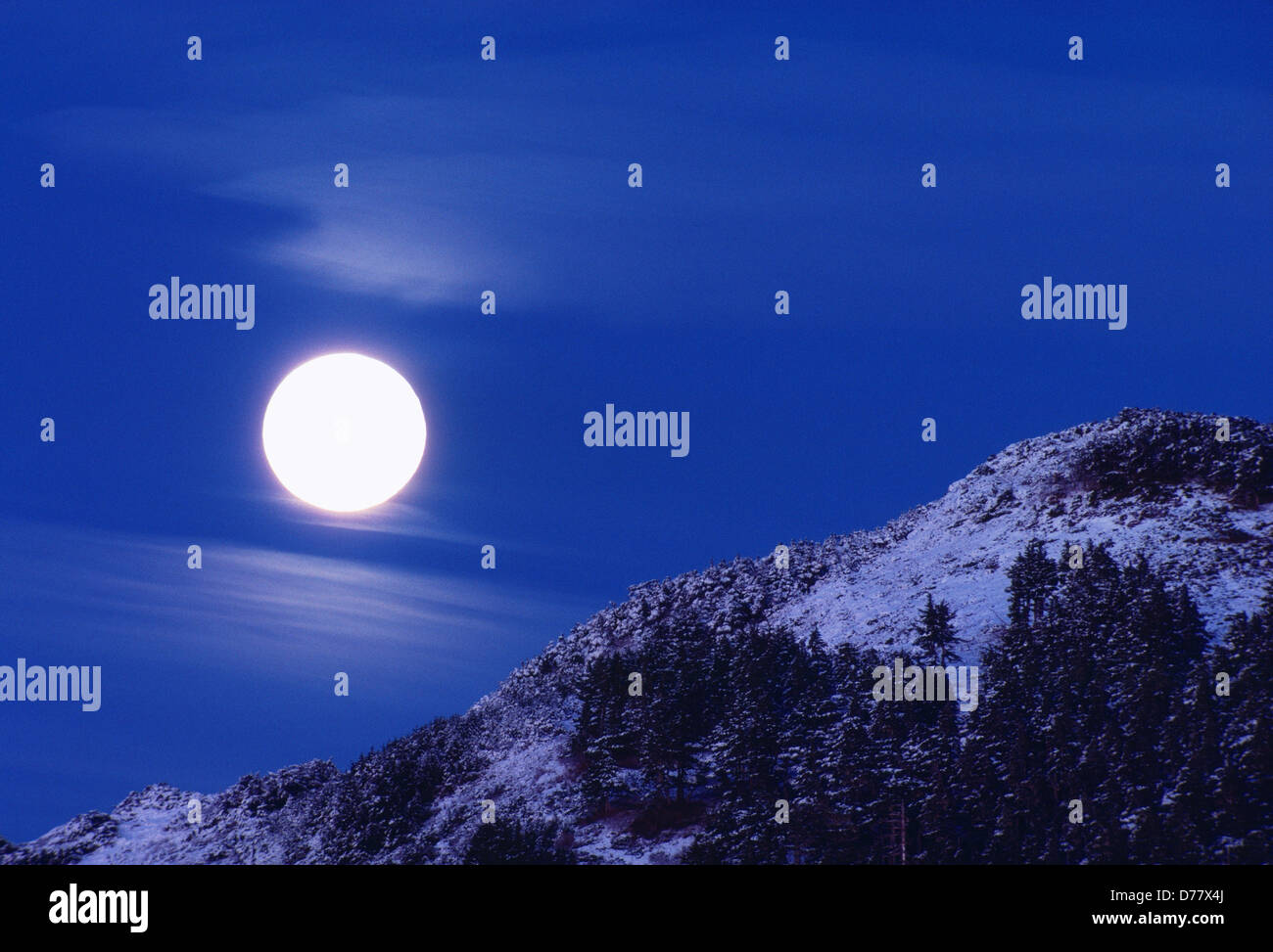 Full moon rising over Harbor Mountain glow in cirrus clouds Tongass ...