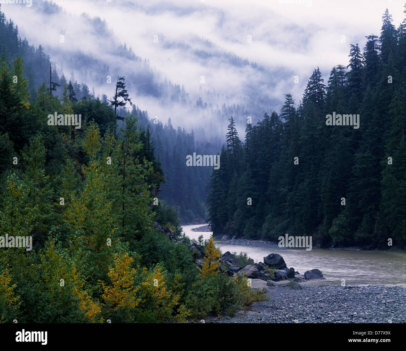 Fog over Salmon River near Hyder Alaska Tongass National Forest Alaska ...