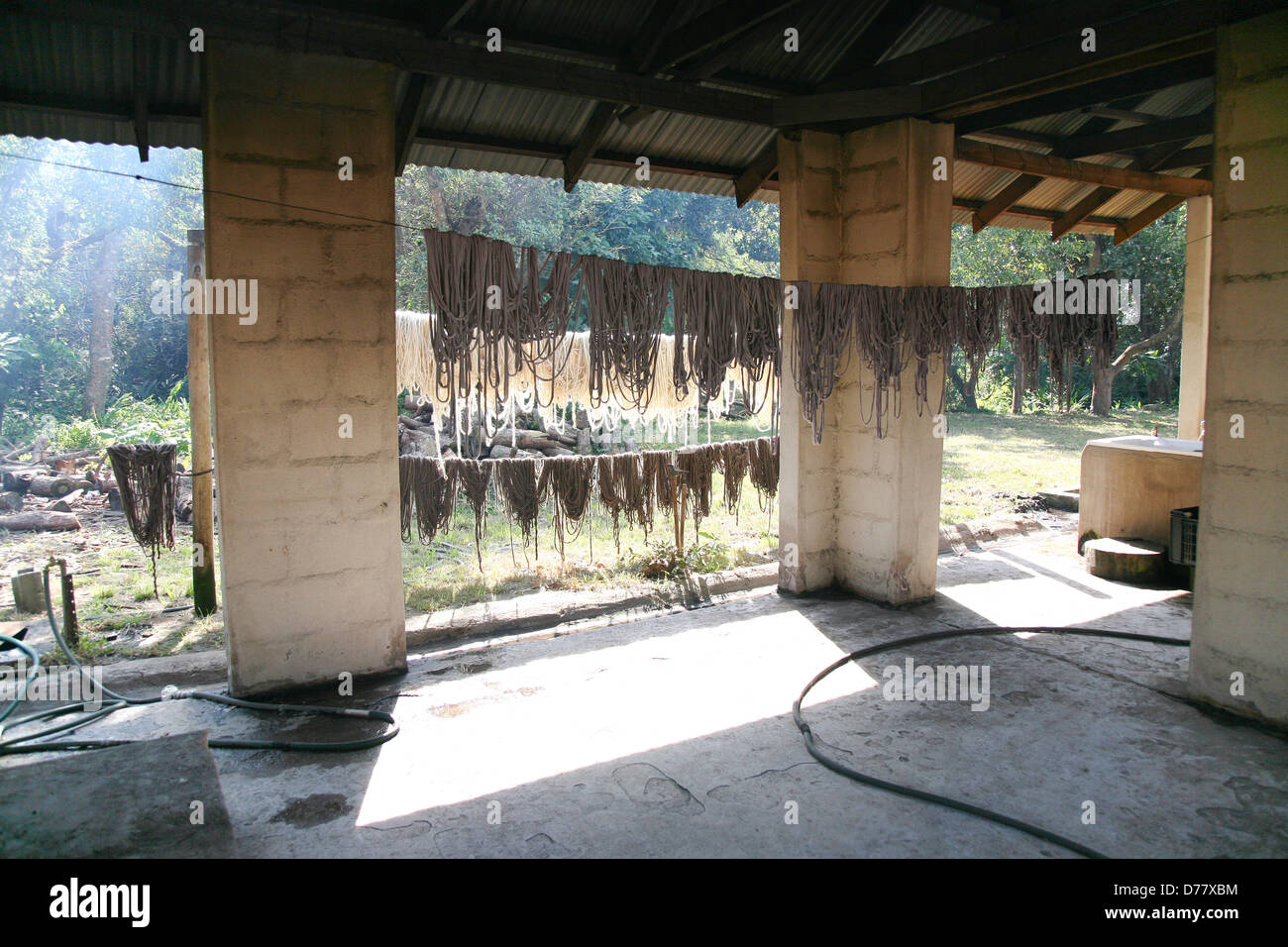 drying the wool Stock Photo - Alamy