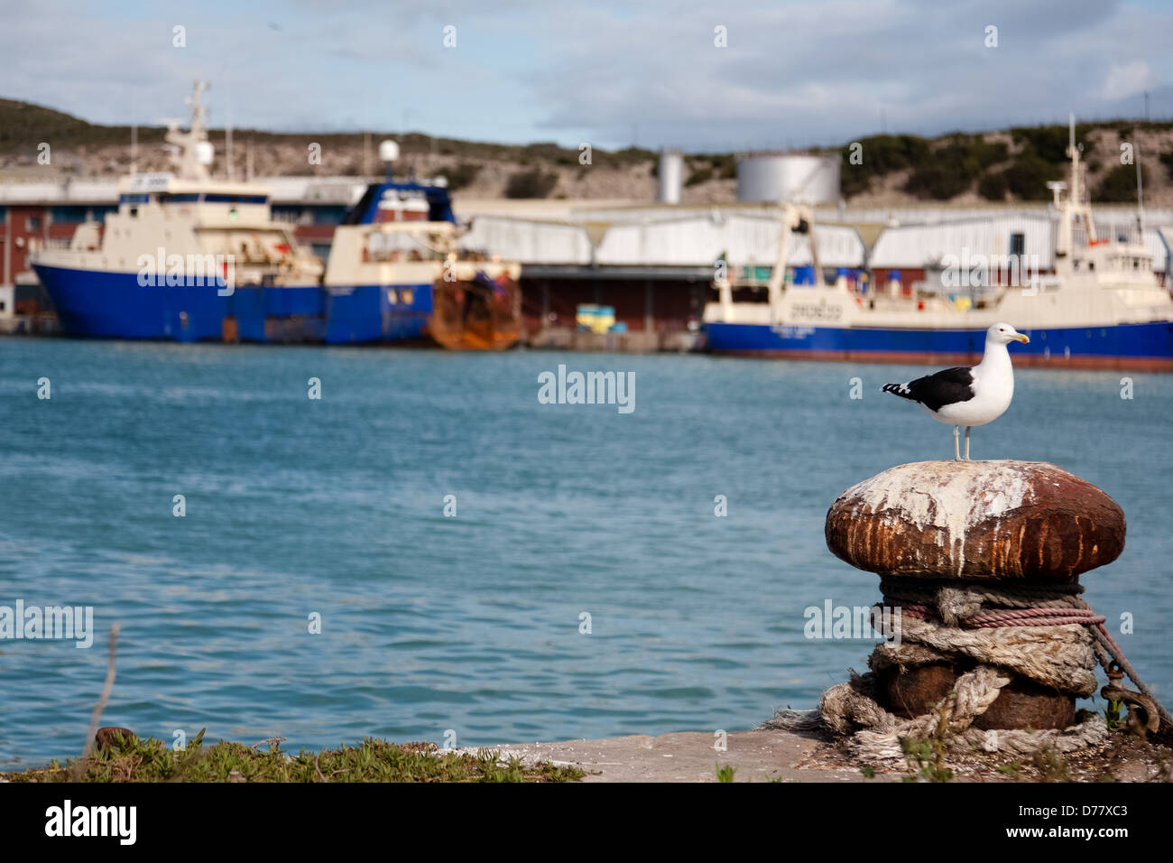 Saldanha bay harbour hi-res stock photography and images - Alamy