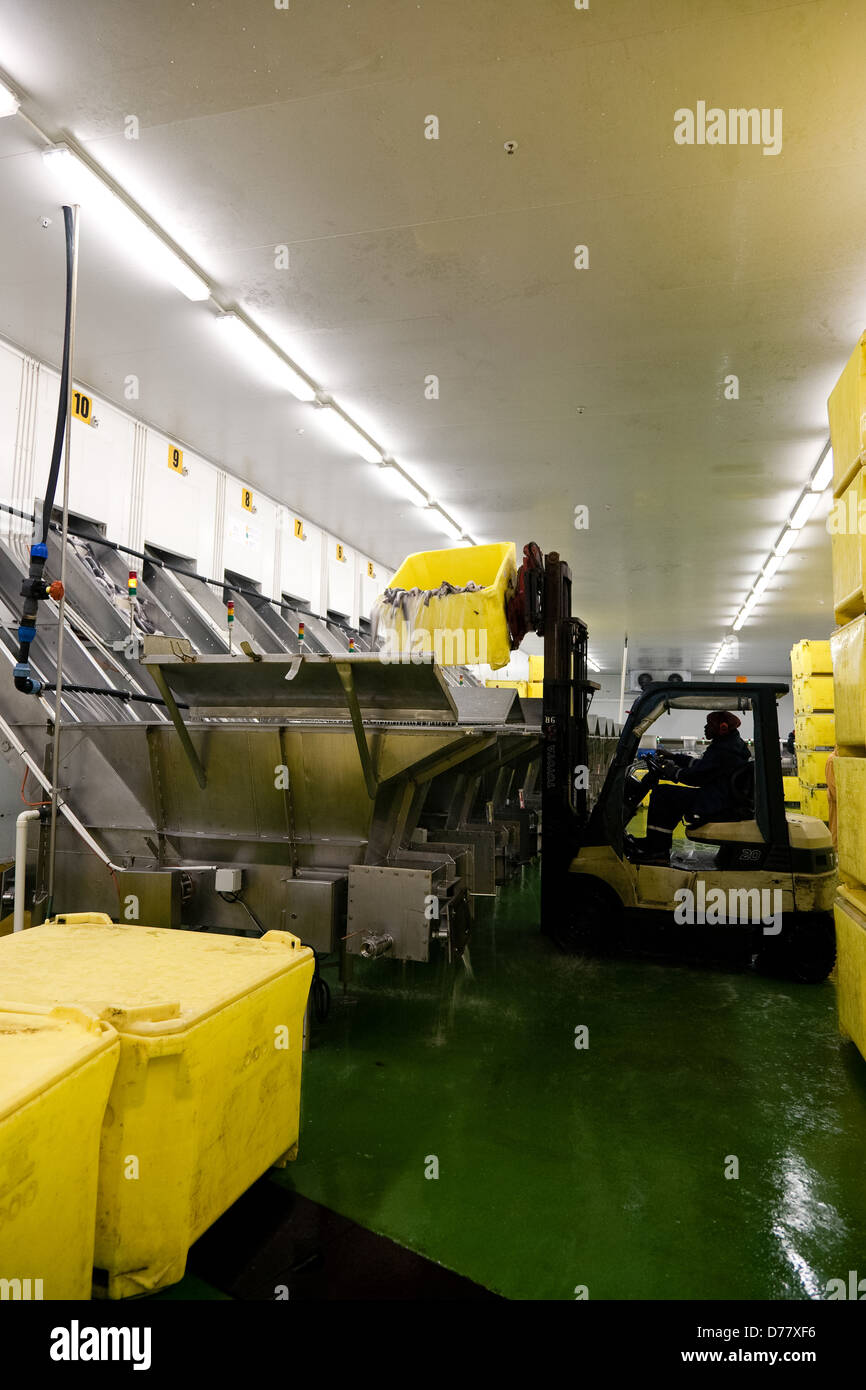 Frozen food production line workers hi-res stock photography and images ...