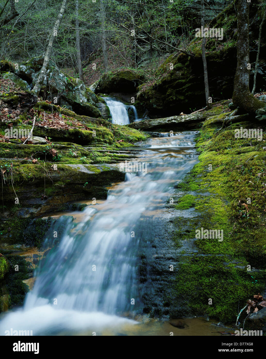 Buffalo national river waterfall hi-res stock photography and images ...