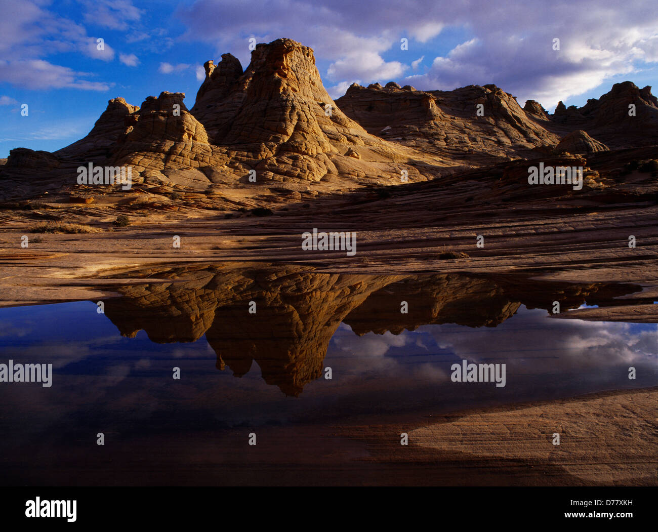 Navajo Sandstone beehives reflected in ephemeral slickrock pool ...