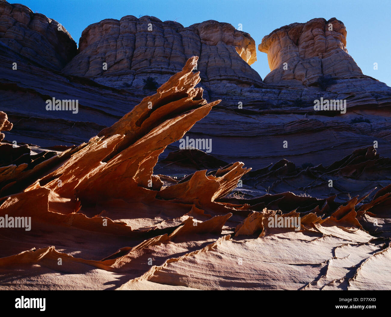 Wind-sculpted fins domes Navajo Sandstone Paria-Vermilion Cliffs ...