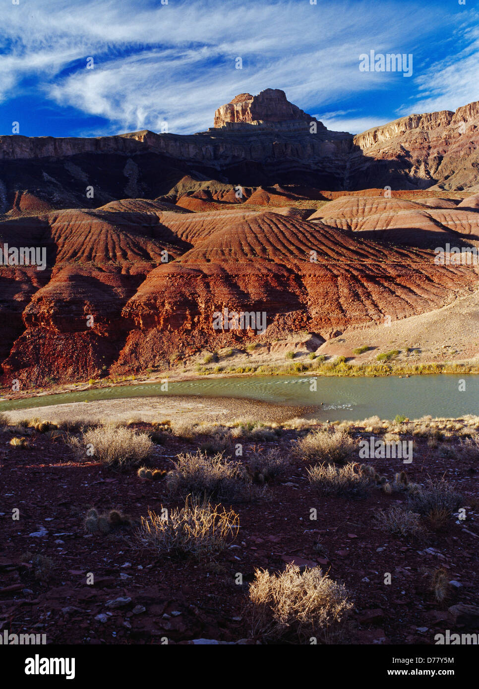 Eroded red shale Dox Formation beyond Colorado River below Cardenas ...