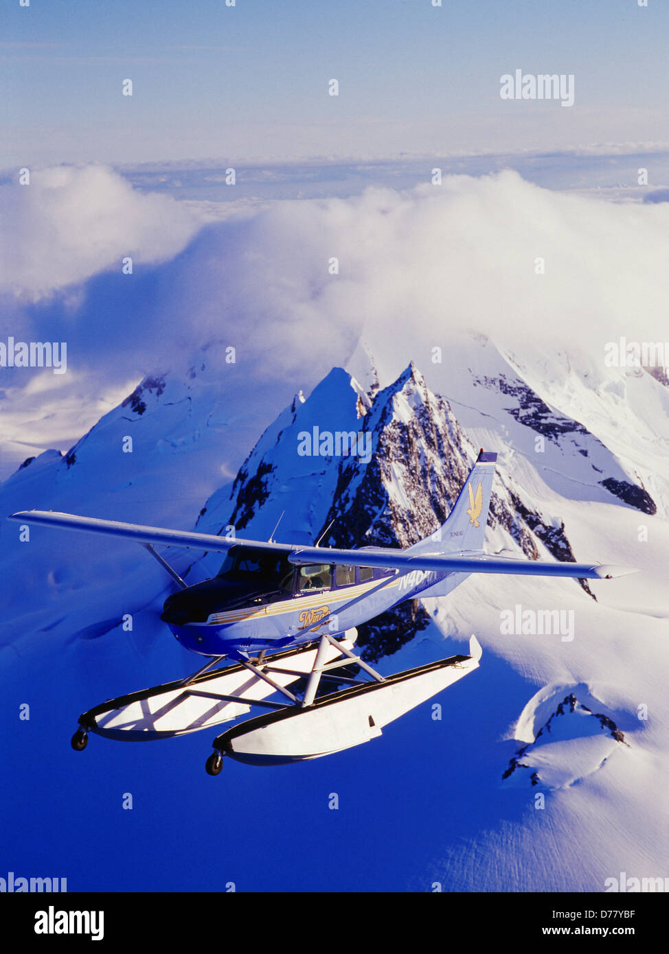 Wings Alaska Cessna 206 flying over nunataks Coast Range rising above ...