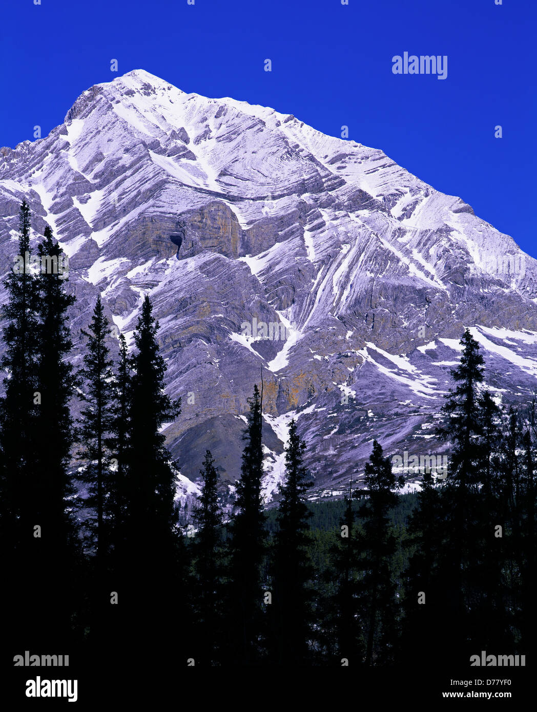 Folded Mountain Sentinel Range Northern Rocky Mountains Muncho Lake ...