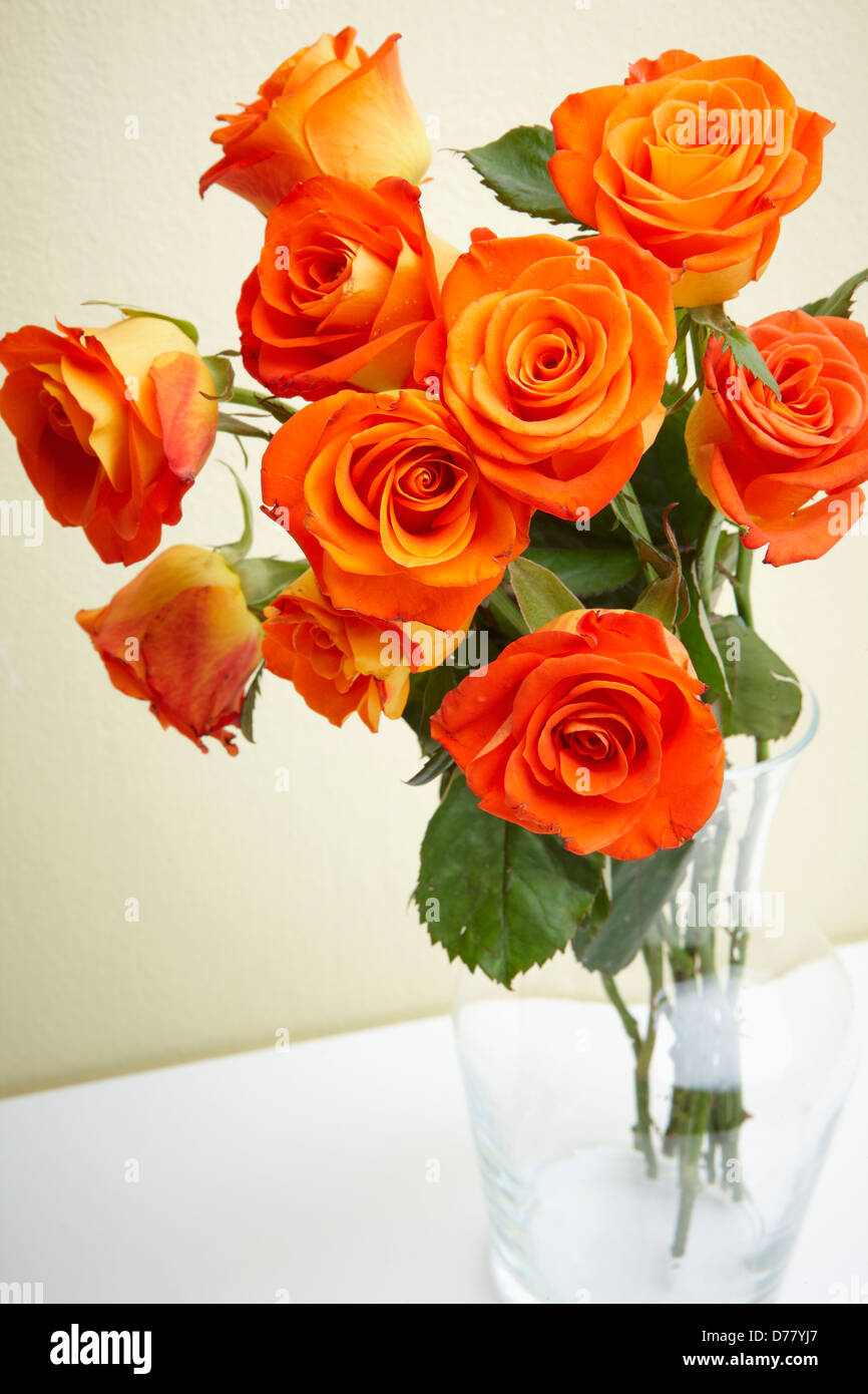 red flowers in a glass vase Stock Photo - Alamy