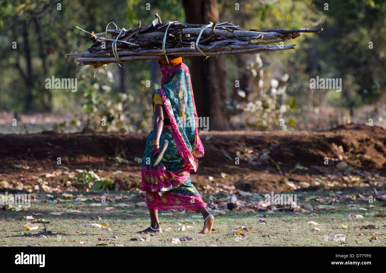 Stick bundle hi-res stock photography and images - Alamy