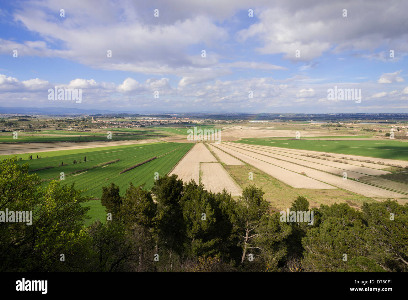 Etang de montady 34310 near hi-res stock photography and images - Alamy