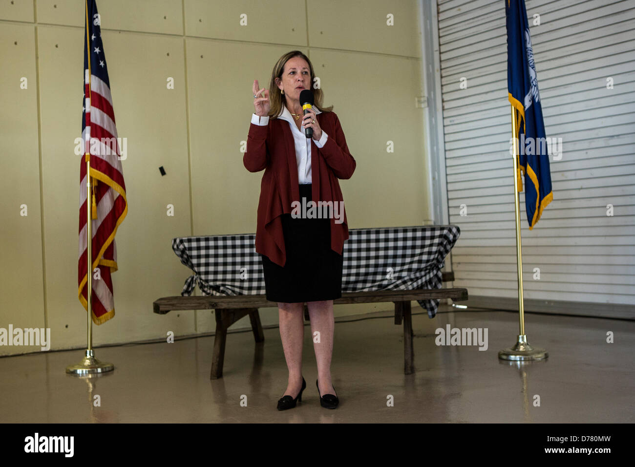 Democrat Elizabeth Colbert Busch talks to supporters during the ...