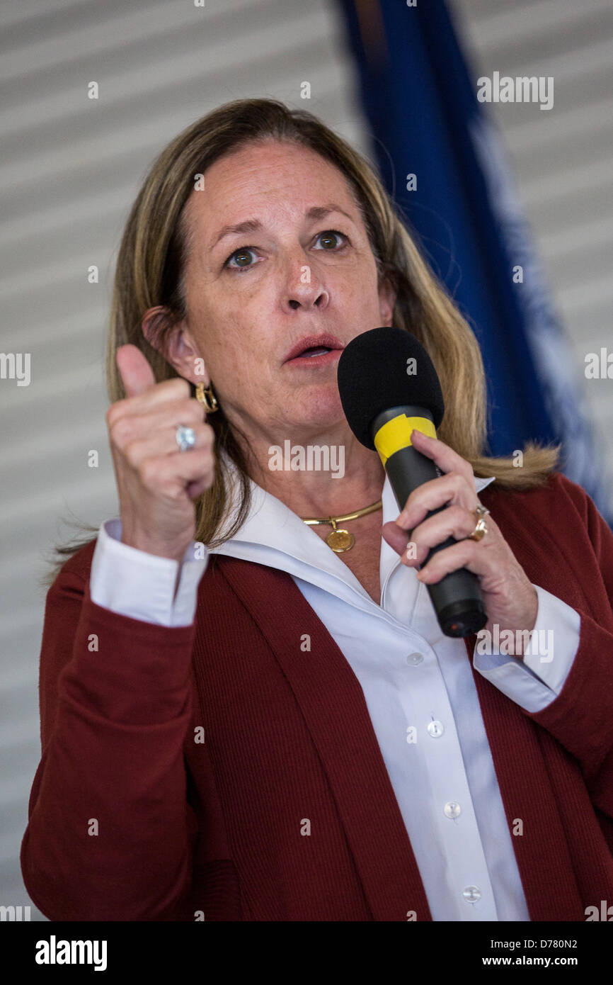 Democrat Elizabeth Colbert Busch talks to supporters during the ...
