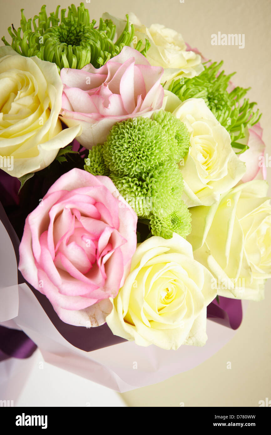 different colours of flowers Stock Photo - Alamy