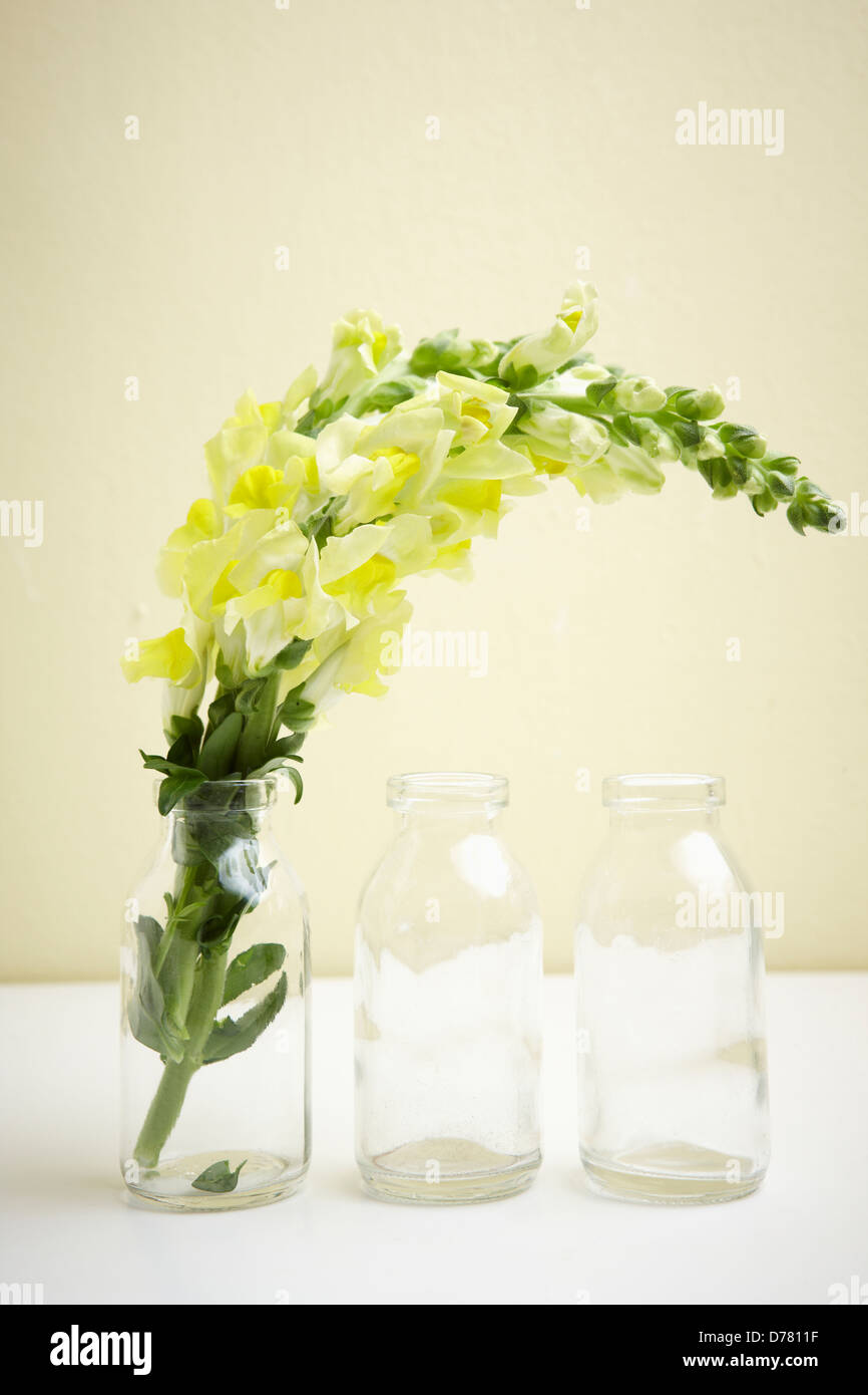 flowers in a glass vase next to glass vases Stock Photo - Alamy
