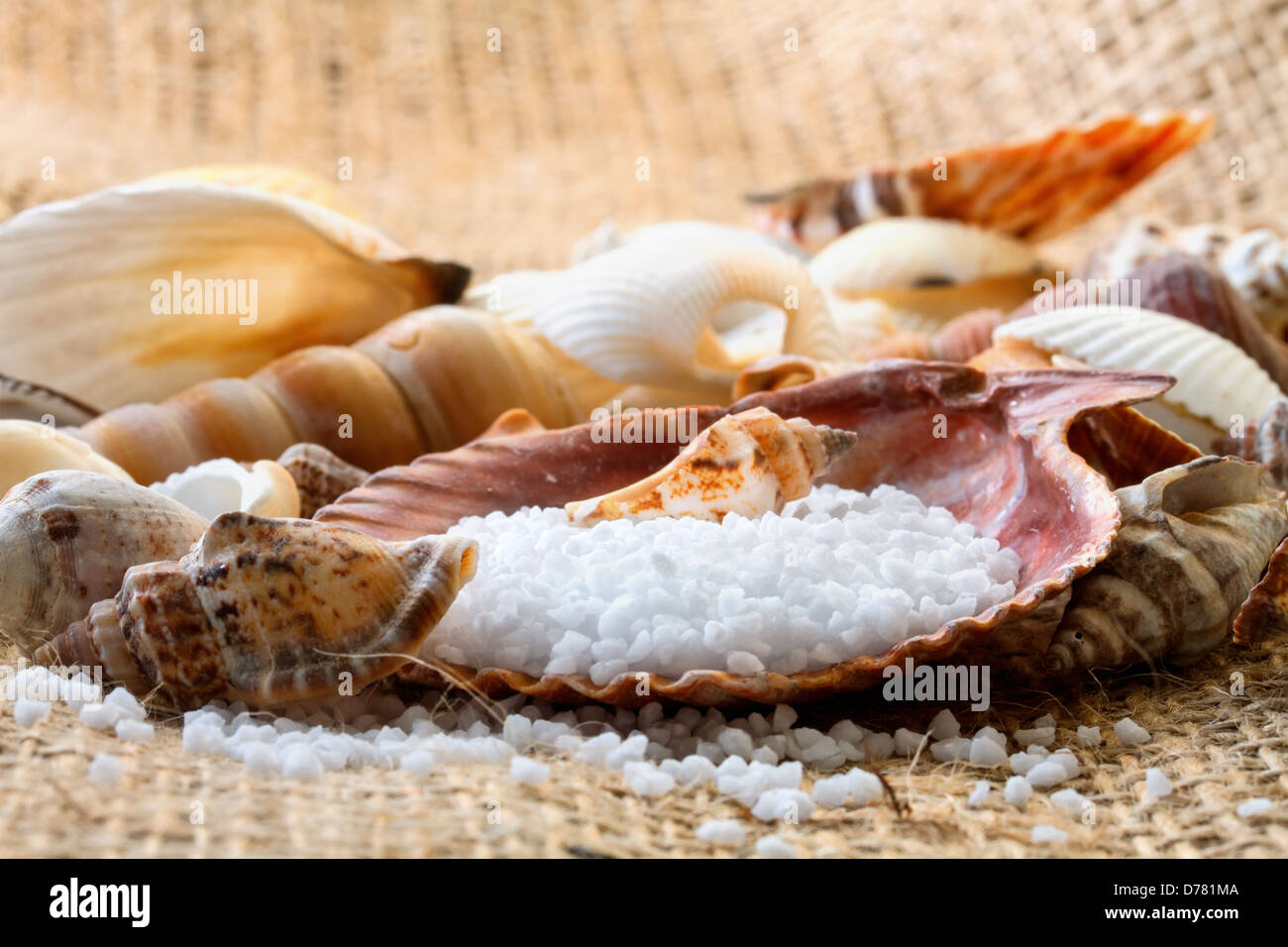 Spa background with sea salt and shells Stock Photo - Alamy