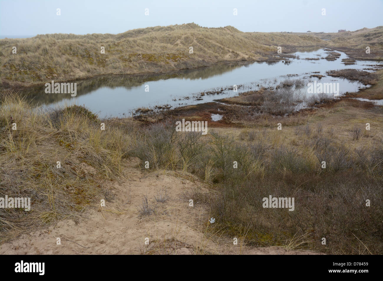 The Sefton Coast Special Area of Conservation covers 4,500 hectares of ...