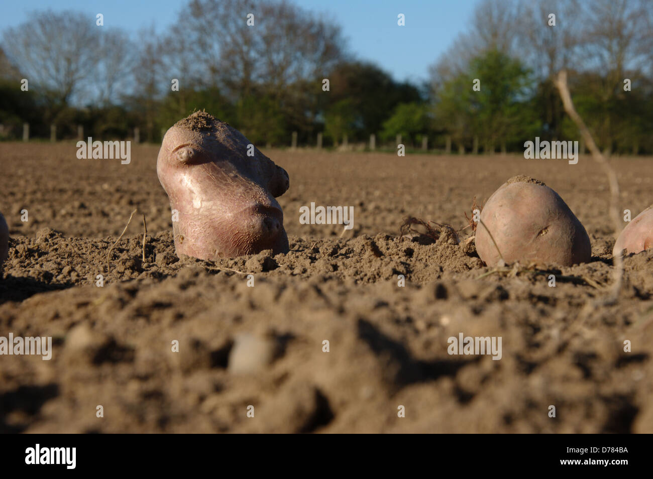 Funny shape hi-res stock photography and images - Alamy