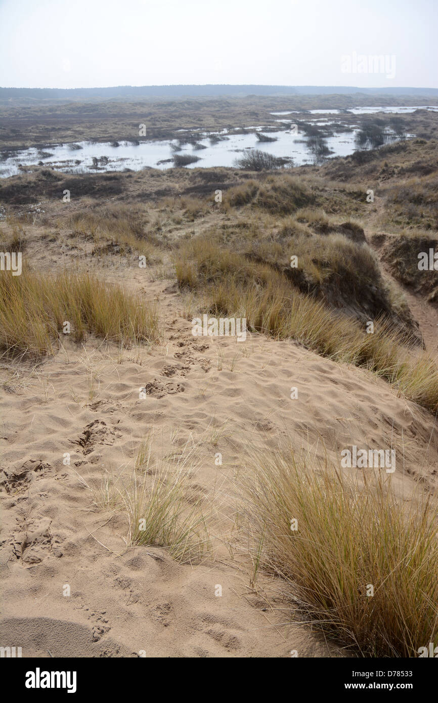 Sefton coast nature conservation hi-res stock photography and images ...