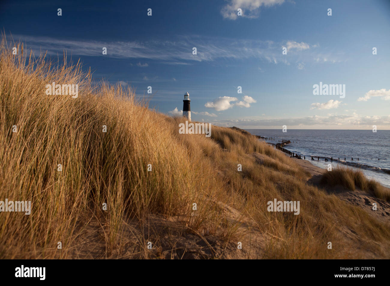 Spurn Point (or Spurn Head ) is a narrow sand spit on the tip of the ...