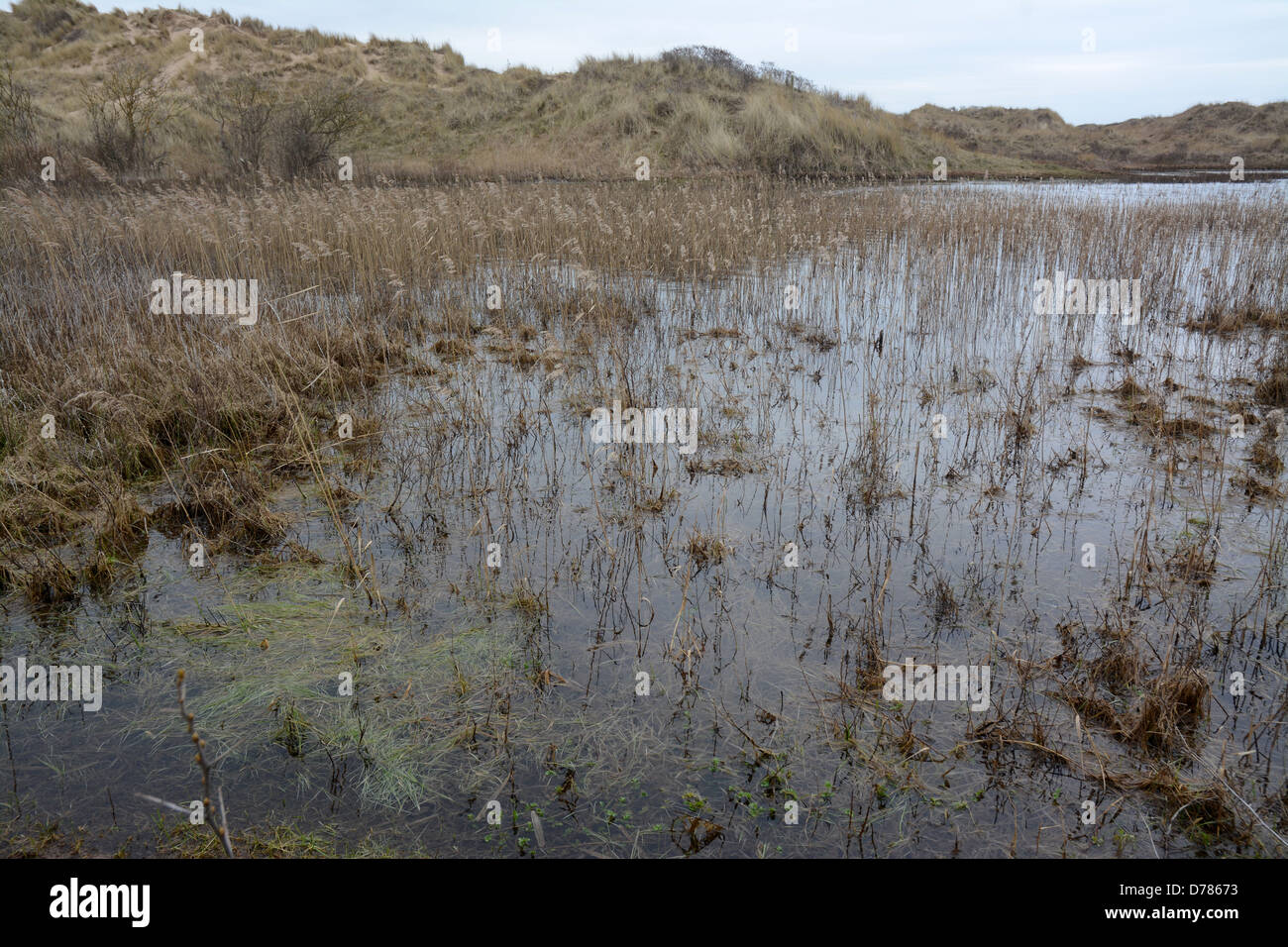 The Sefton Coast Special Area of Conservation covers 4,500 hectares of ...