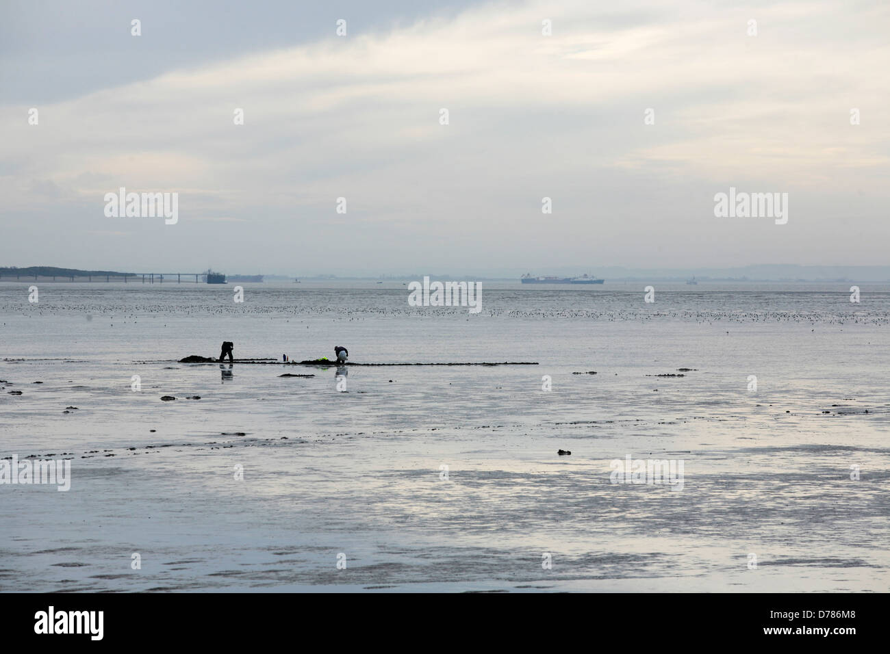 Spurn Point (or Spurn Head ) is a narrow sand spit on the tip of the ...