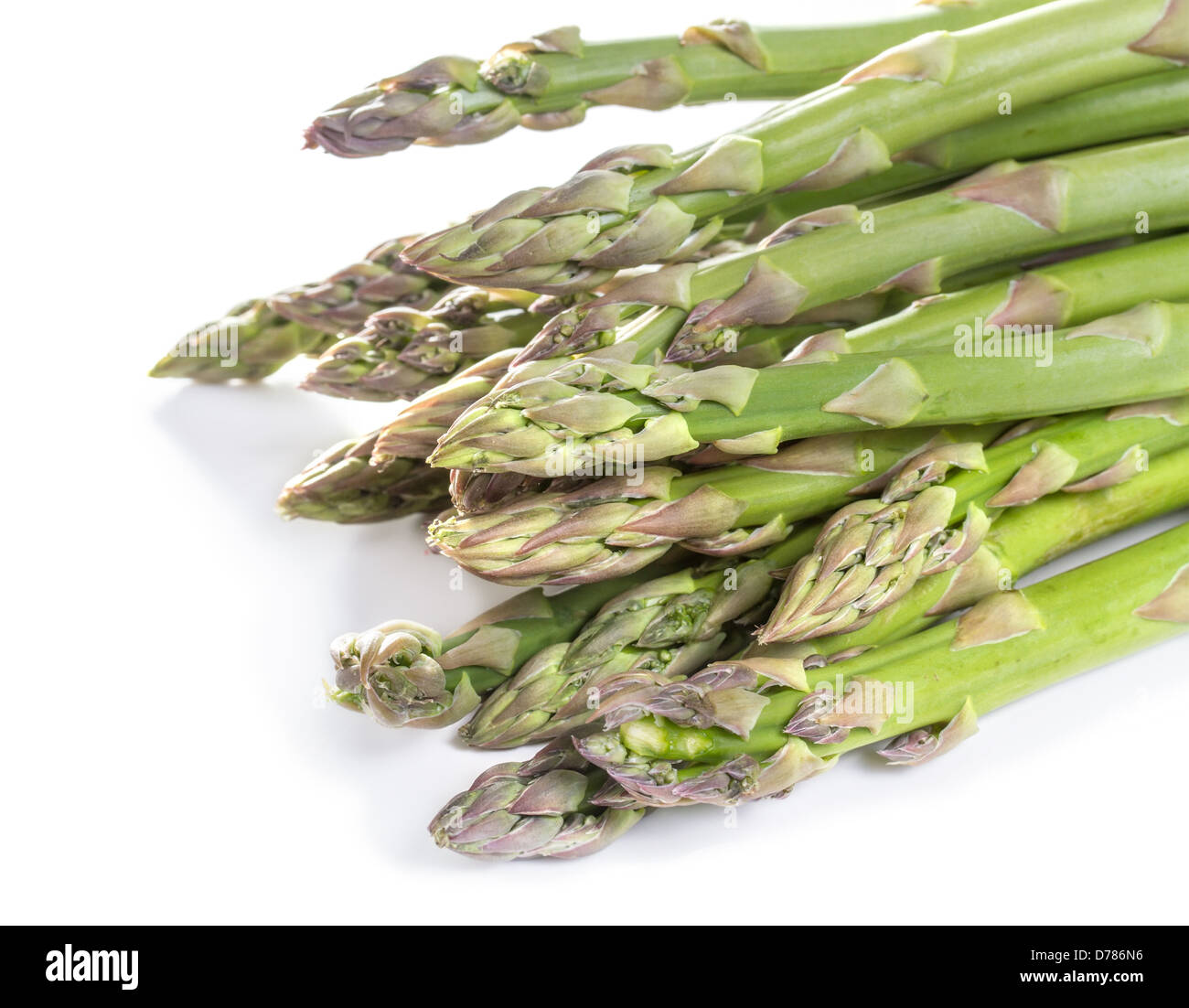 Asparagus spear on white hi-res stock photography and images - Alamy
