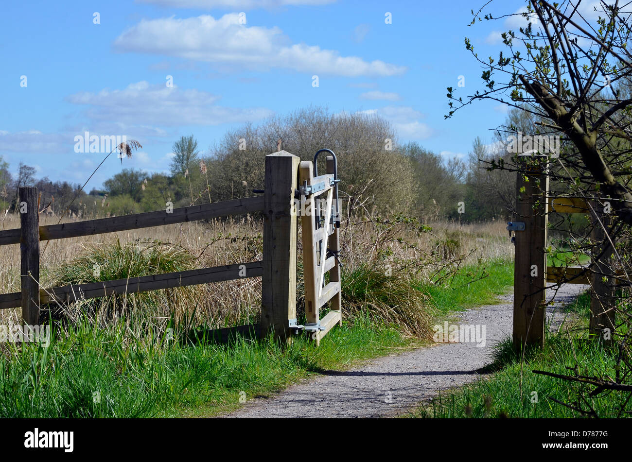 Fence and open gate on footpath, Winnall Moors nature reserve ...