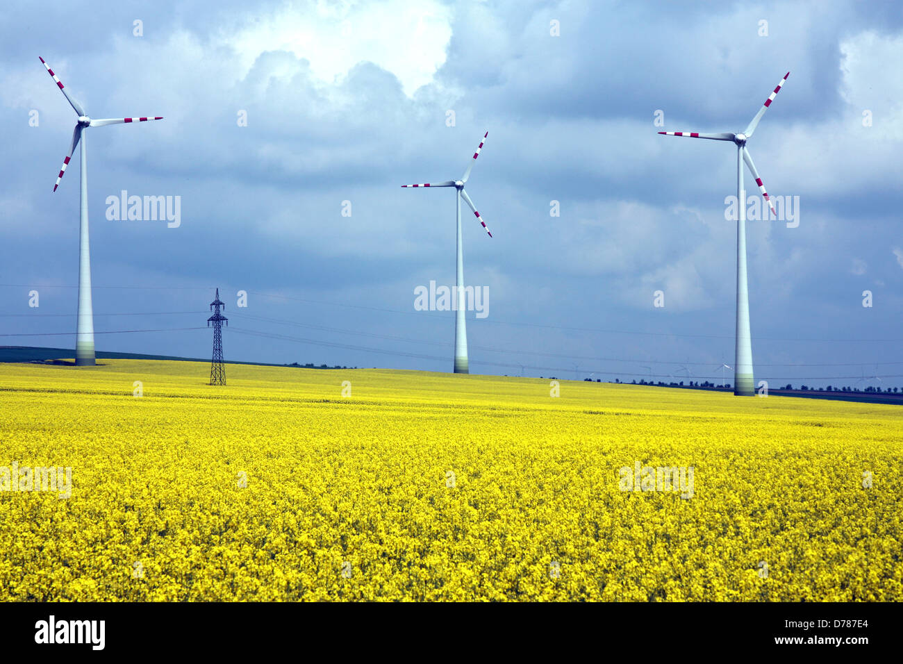 wind mill fields and rural landscape Stock Photo - Alamy