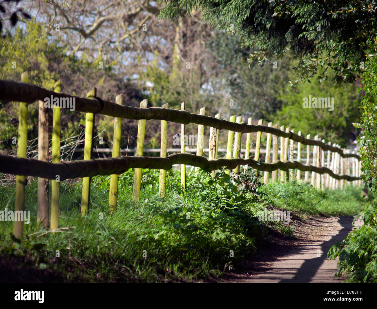 A sunny path in the East Sussex countryside Stock Photo - Alamy