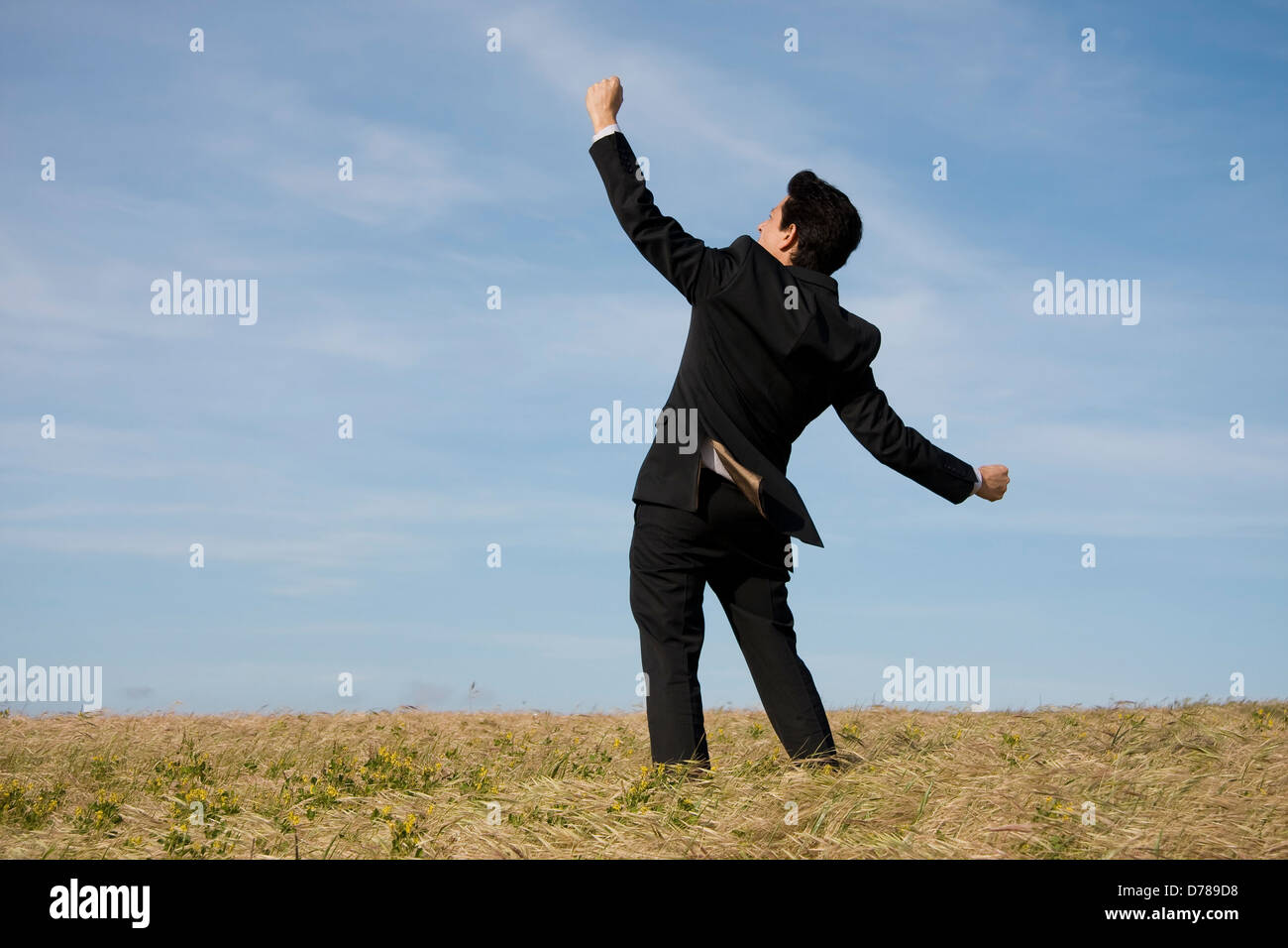 A successful business man with his arm outstretched on a field Stock ...