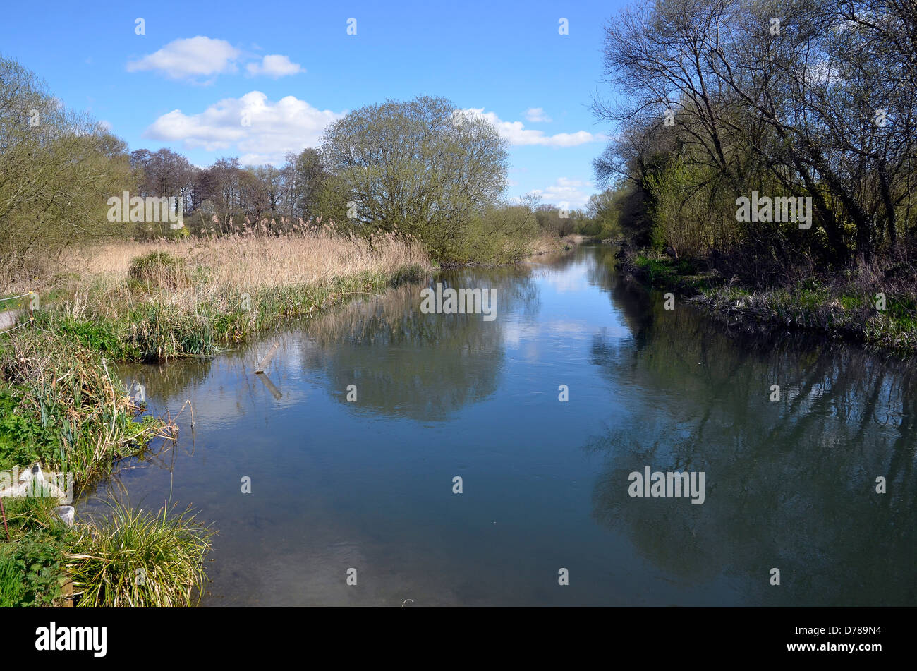 River Itchen and flood plain, Winnall Moors, Winchester, Hampshire ...