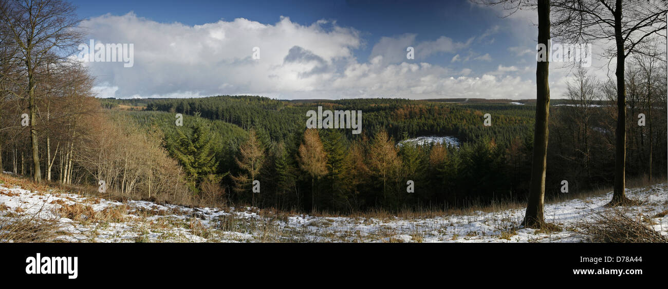 Dalby forest hi-res stock photography and images - Alamy
