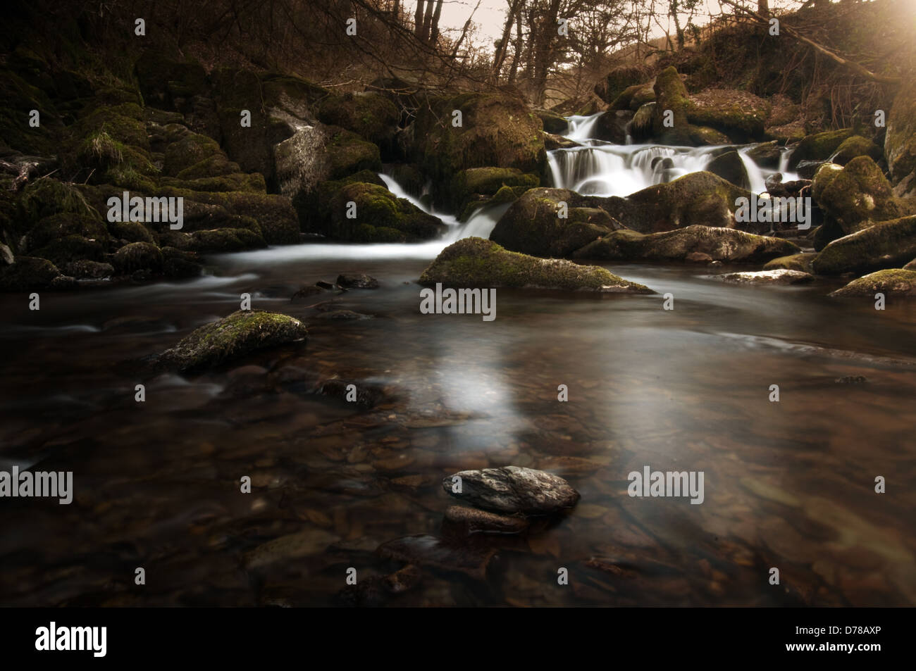 Magical forest stream Stock Photo - Alamy