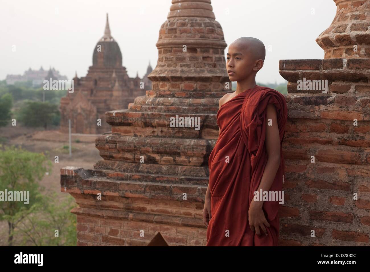 A young Buddhist monk is standing on a brick wall in front of a Pagoda ...