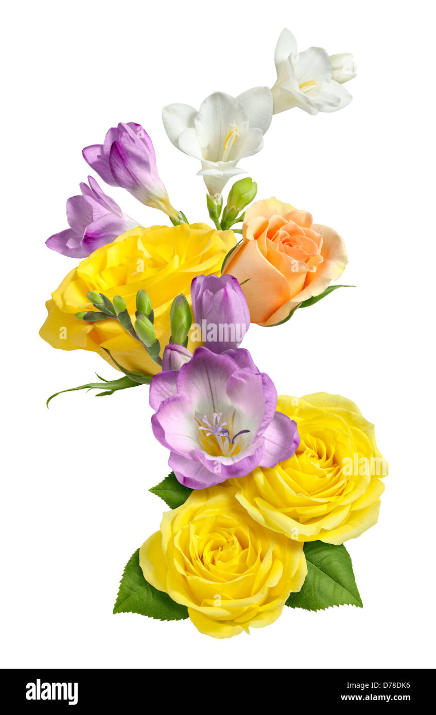 Roses & Freesia isolated on white Stock Photo - Alamy